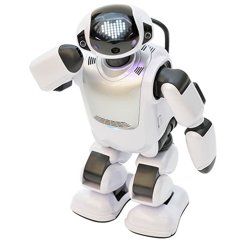 PALRO-パルロの評価：介護の現場で使われる超本格派会話ロボ｜ペットロボットショップ